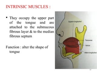 Tongue anatomy & diseases | PPT