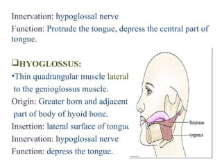 Tongue anatomy & diseases | PPT