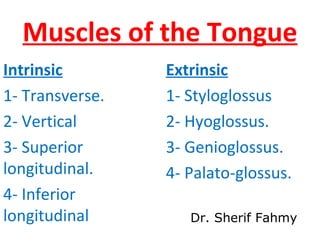 Oral Cavity & The Tongue (Anatomy of the Neck) | PPS