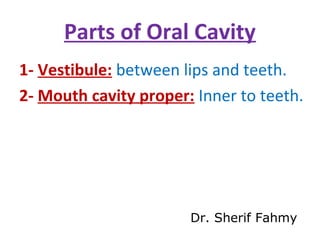 Oral Cavity & The Tongue (Anatomy of the Neck) | PPS