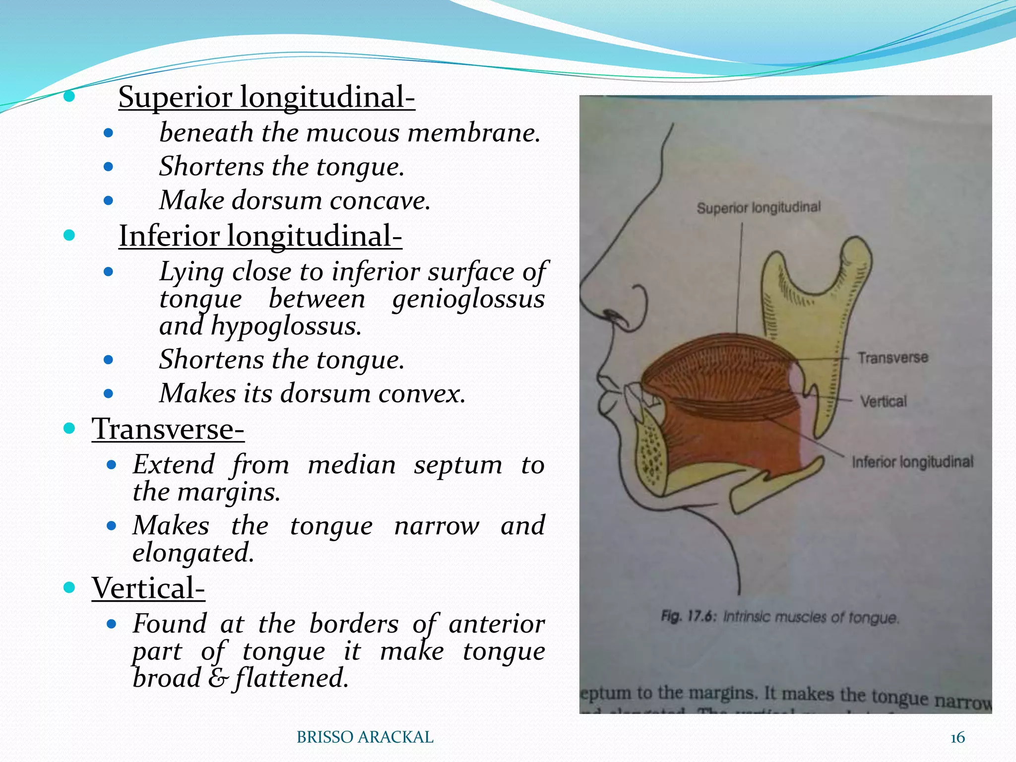 Tongue | PPTX