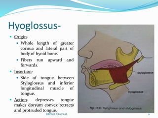 Tongue | PPTX