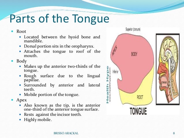 Tongue
