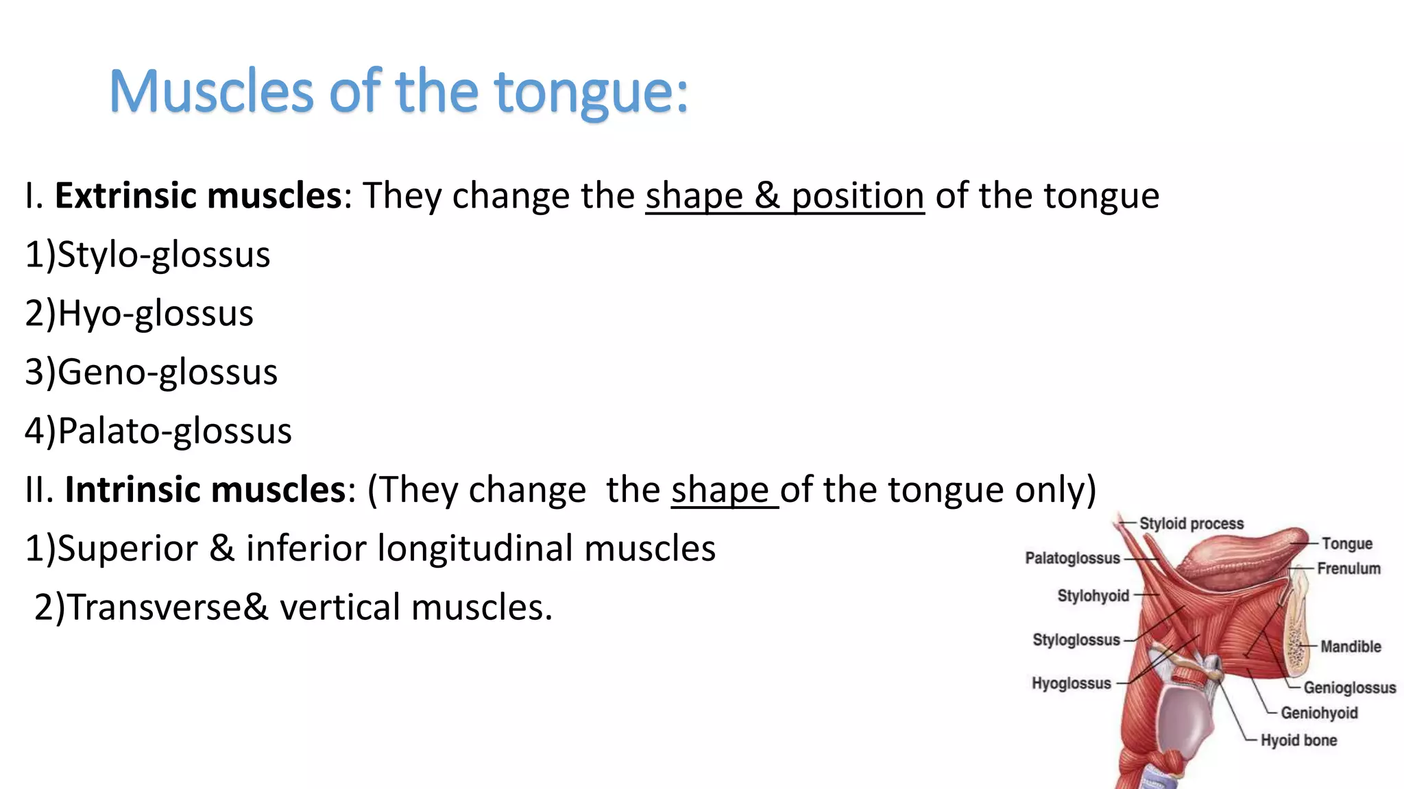 Tongue Anatomy & Carinoma | PPTX