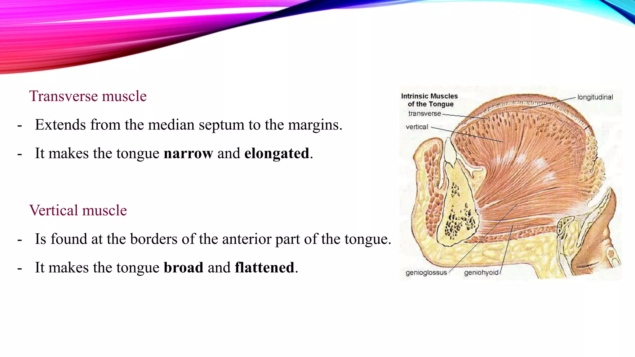 TONGUE ppt | PPTX