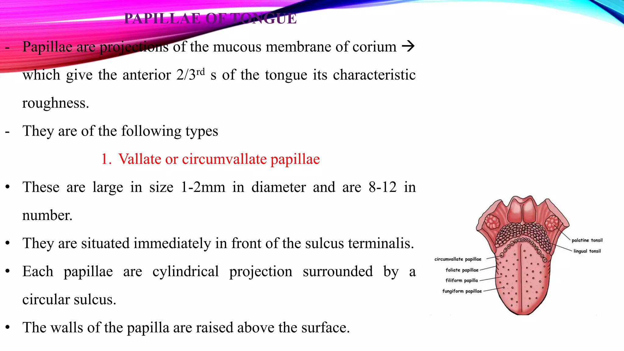 TONGUE ppt | PPTX