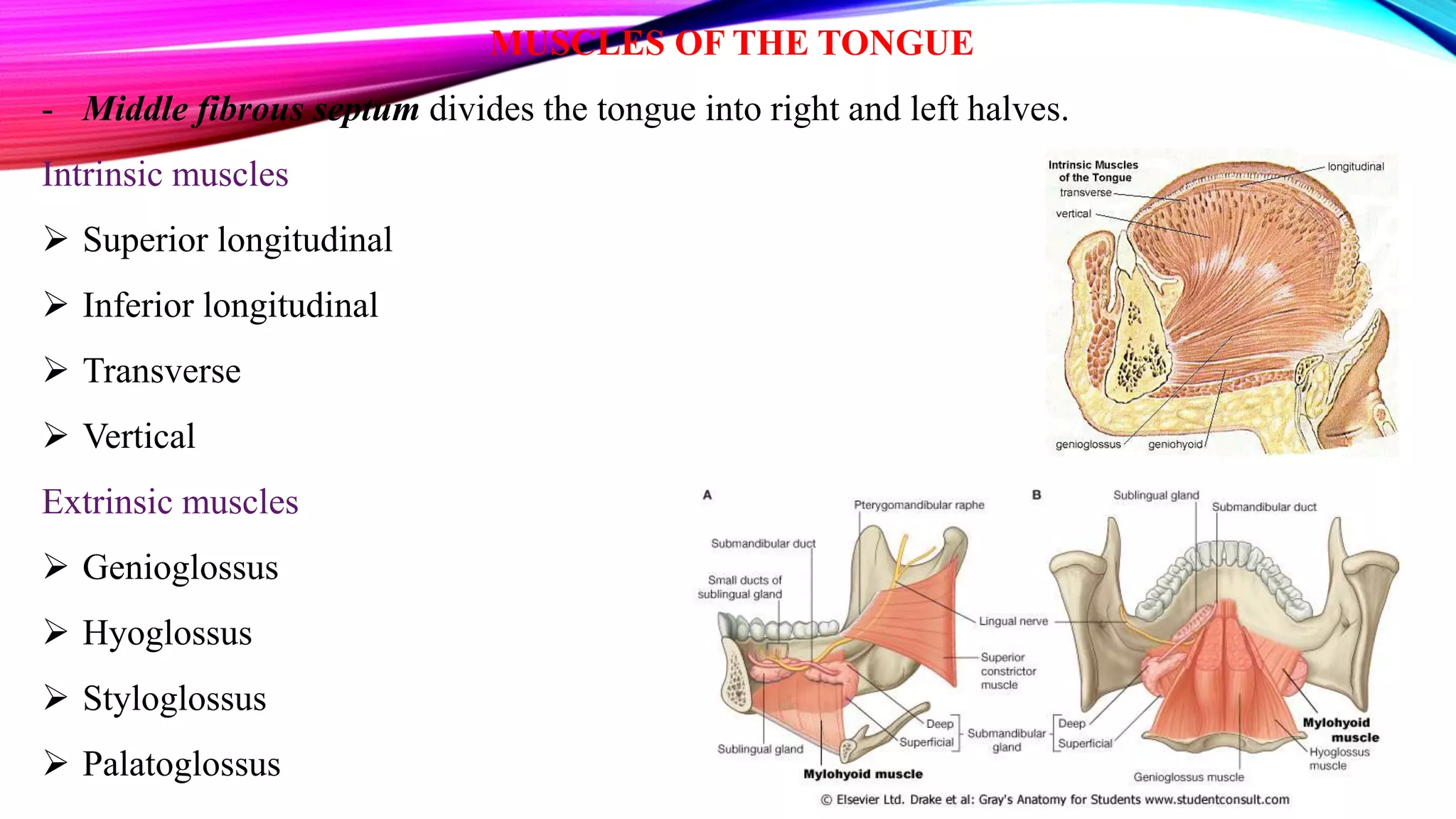 TONGUE ppt | PPTX
