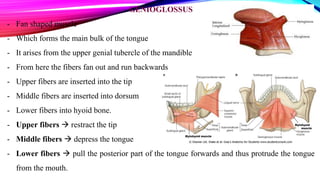 TONGUE ppt | PPTX