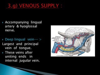 Tongue | PPTX