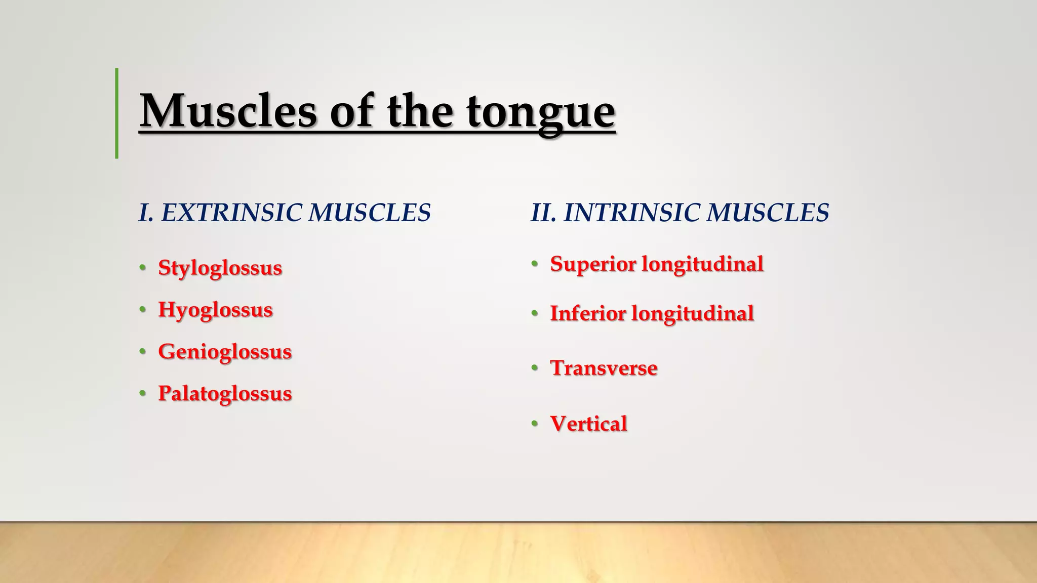 The tongue, its development and anatomy | PPTX