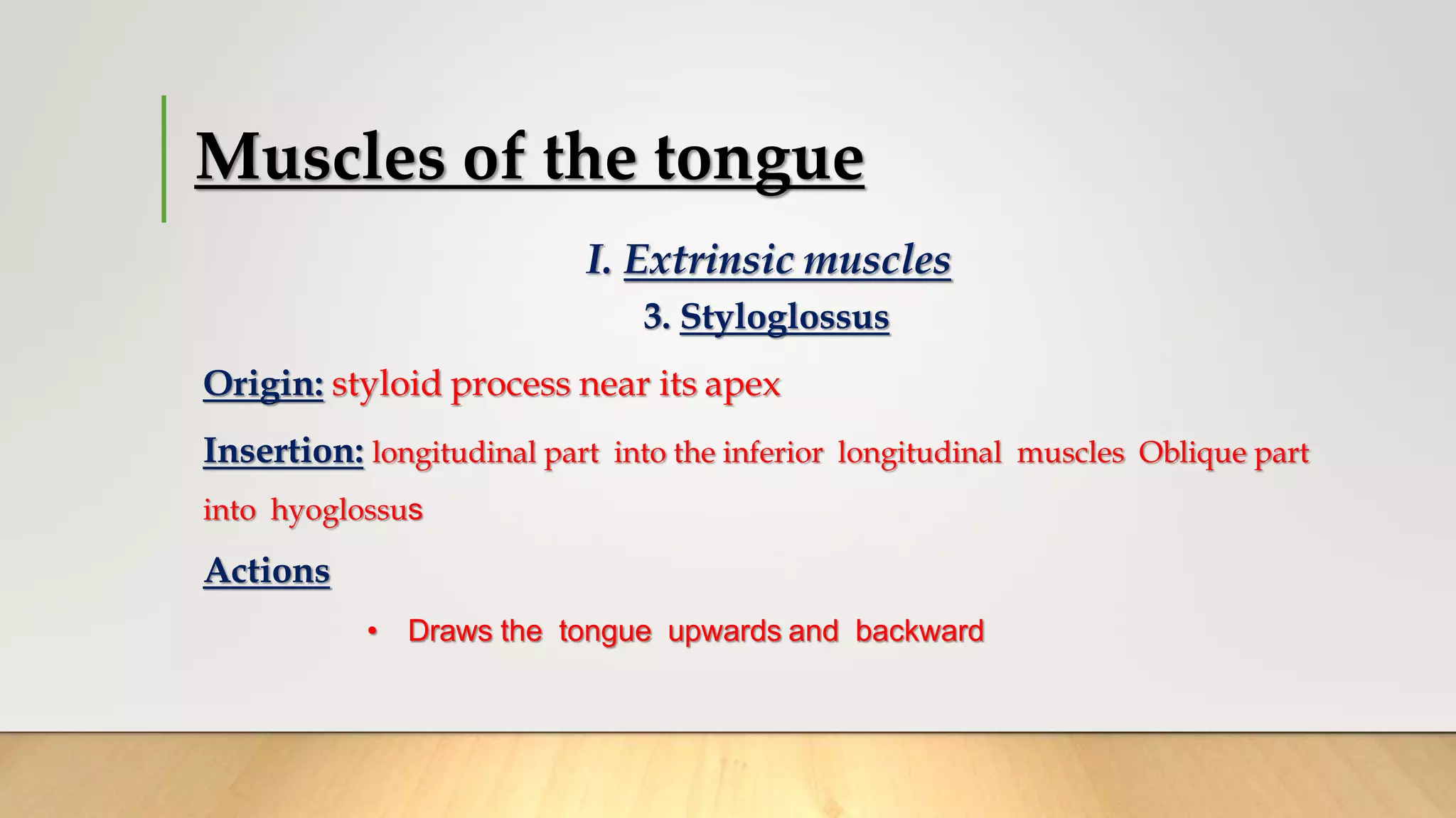The tongue, its development and anatomy | PPTX