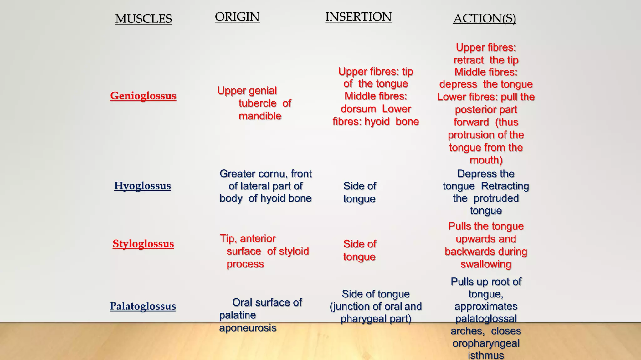 The tongue, its development and anatomy | PPTX