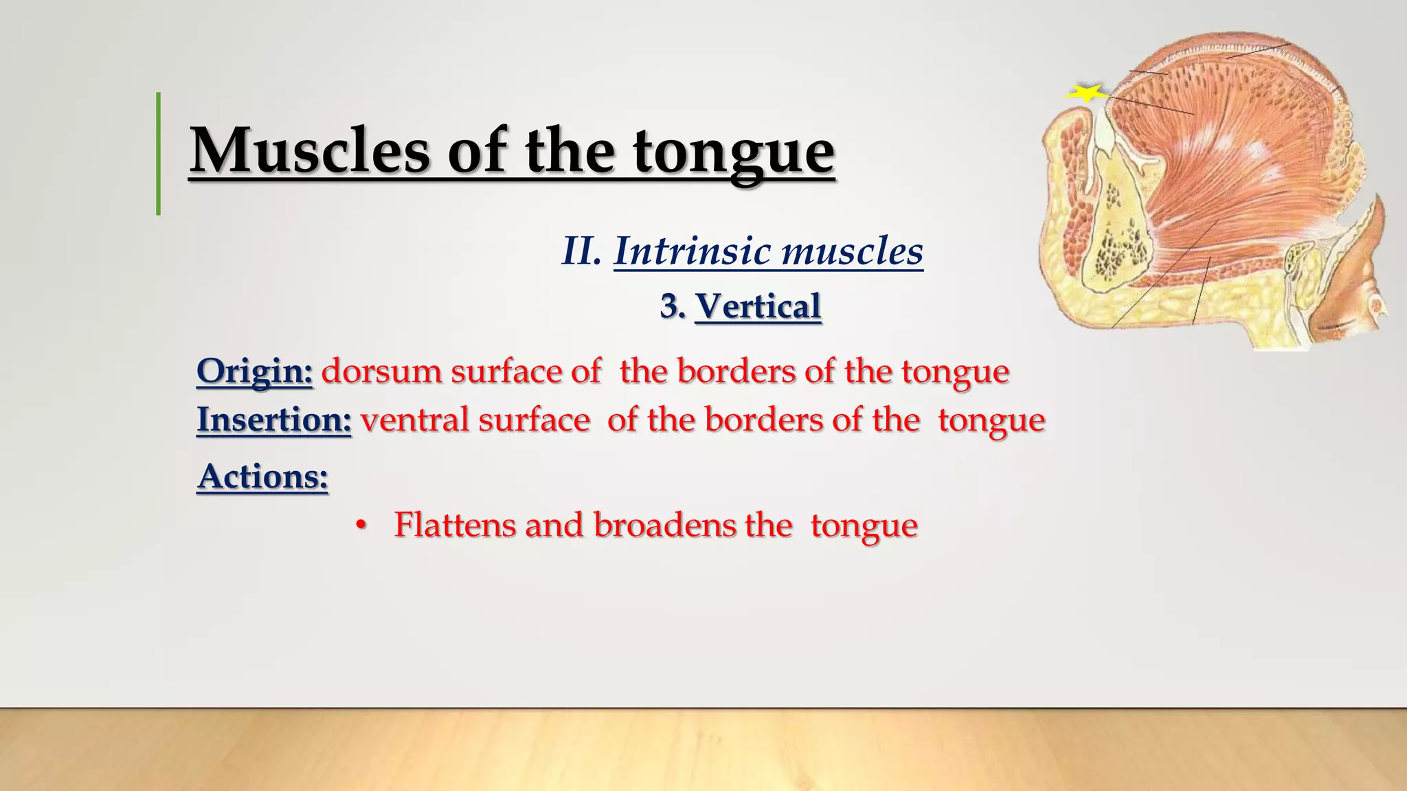 The tongue, its development and anatomy | PPTX