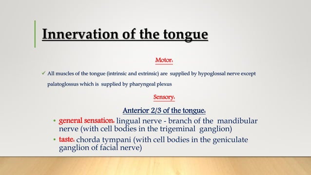 The tongue, its development and anatomy | PPTX | Ear, Nose and Throat ...