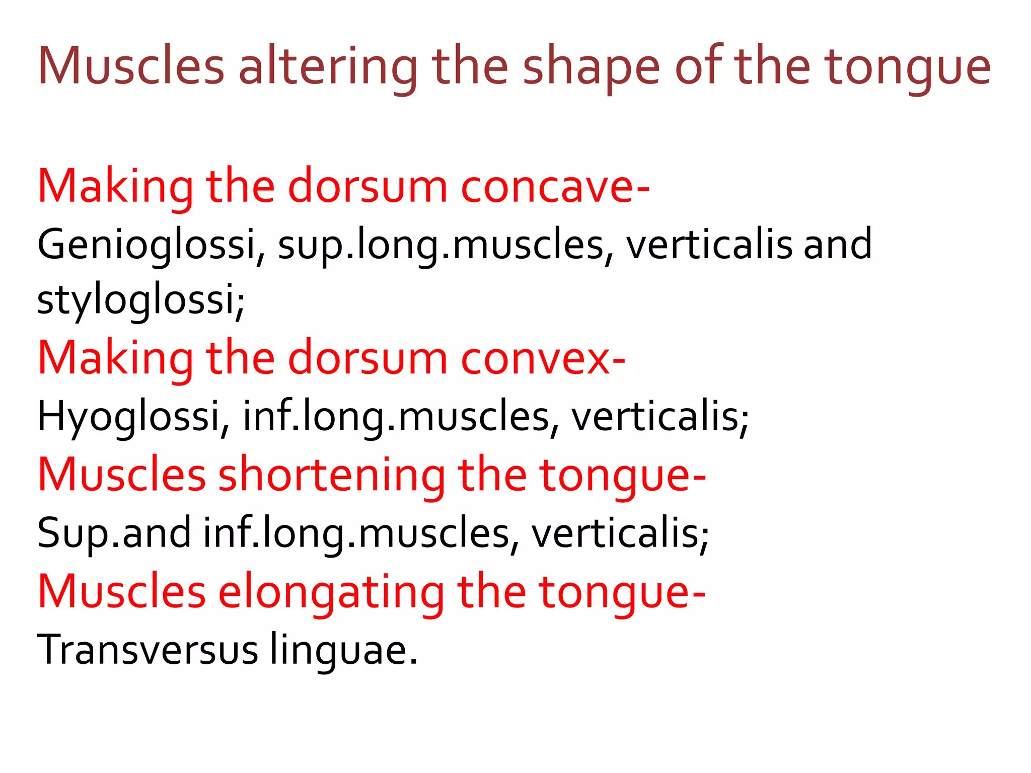 Anatomy of Tongue | PPTX