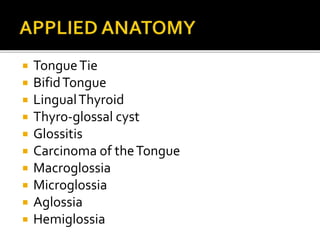 Anatomy of Tongue | PPTX