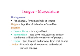Tongue | DOCX