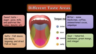 Tongue | PPT