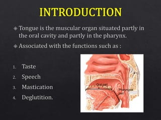 Tongue | PPT