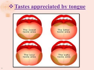 TONGUE.pptx