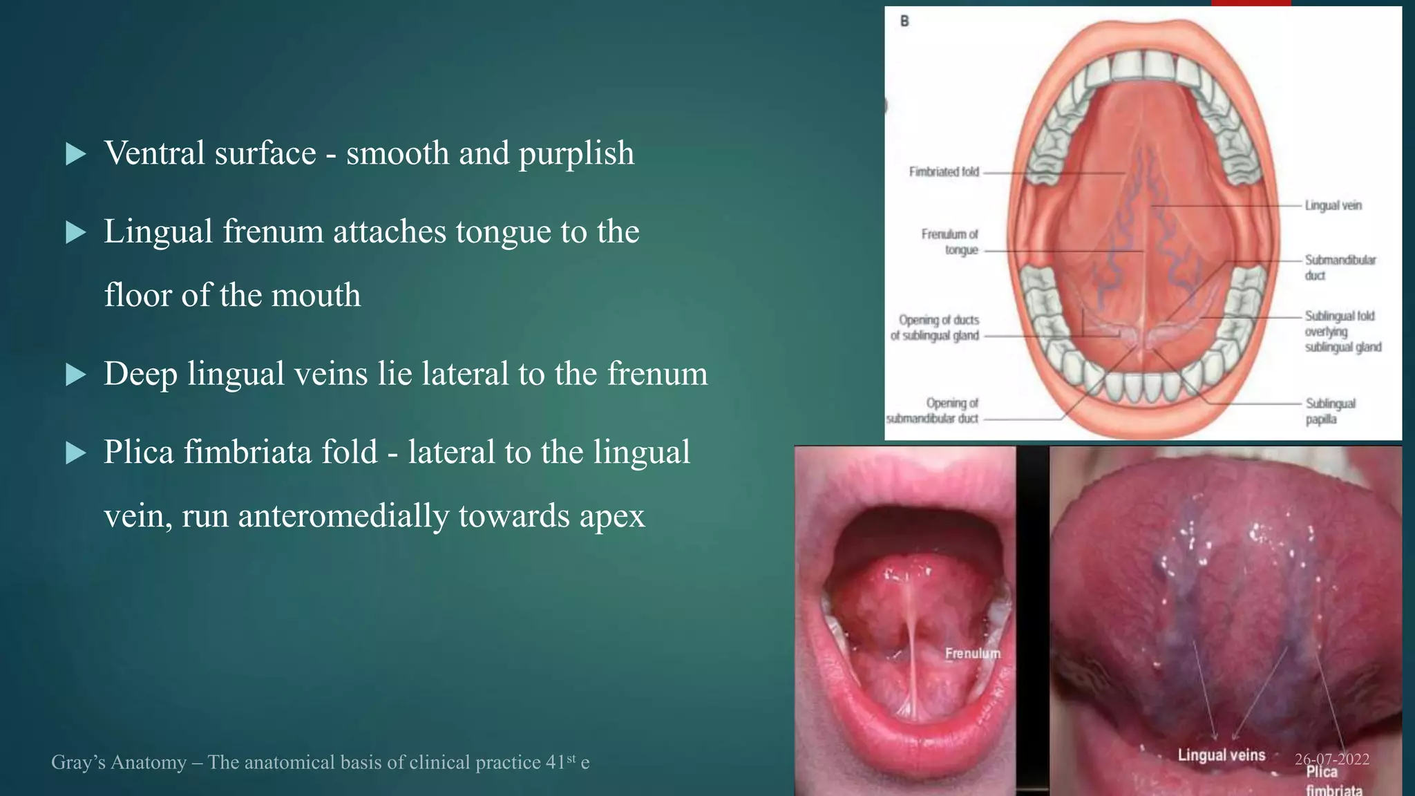 Tongue and it's Prosthodontics Importance | PPTX