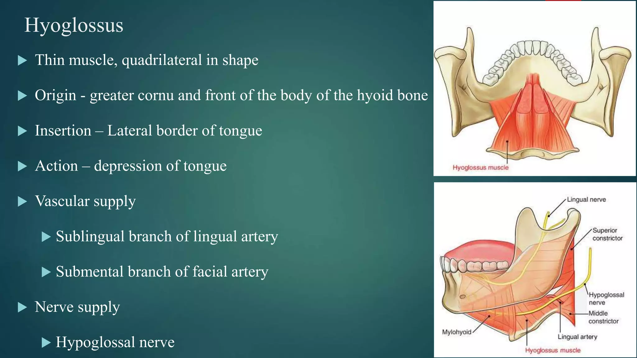 Tongue and it's Prosthodontics Importance | PPTX