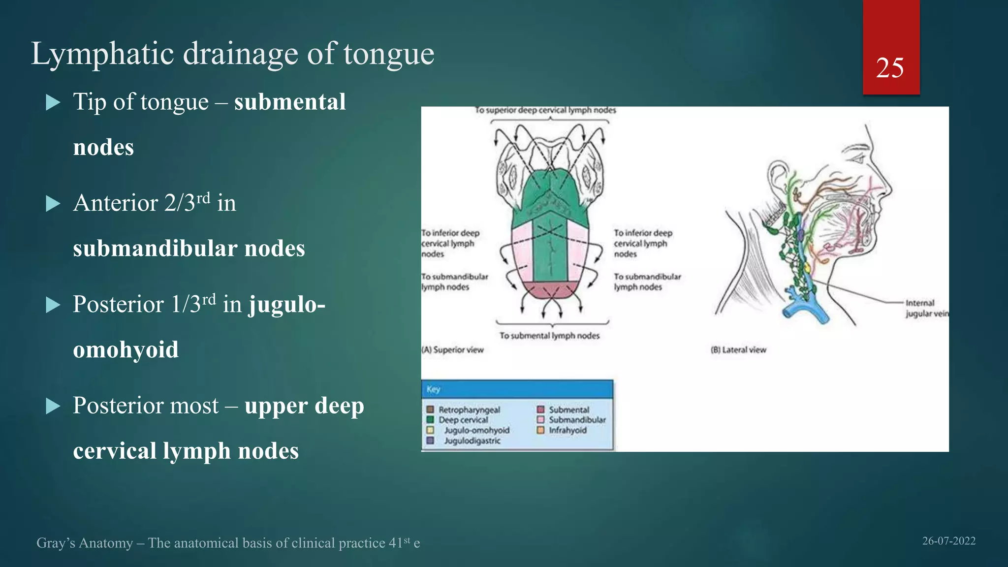 Tongue and it's Prosthodontics Importance | PPTX