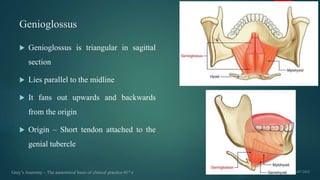 Tongue and it's Prosthodontics Importance | PPTX