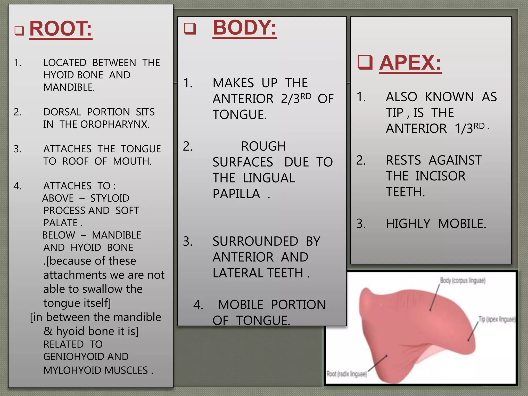 TONGUE.pptx