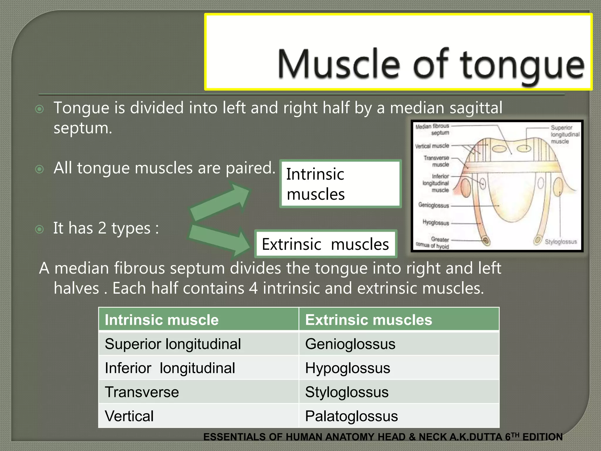 TONGUE.pptx