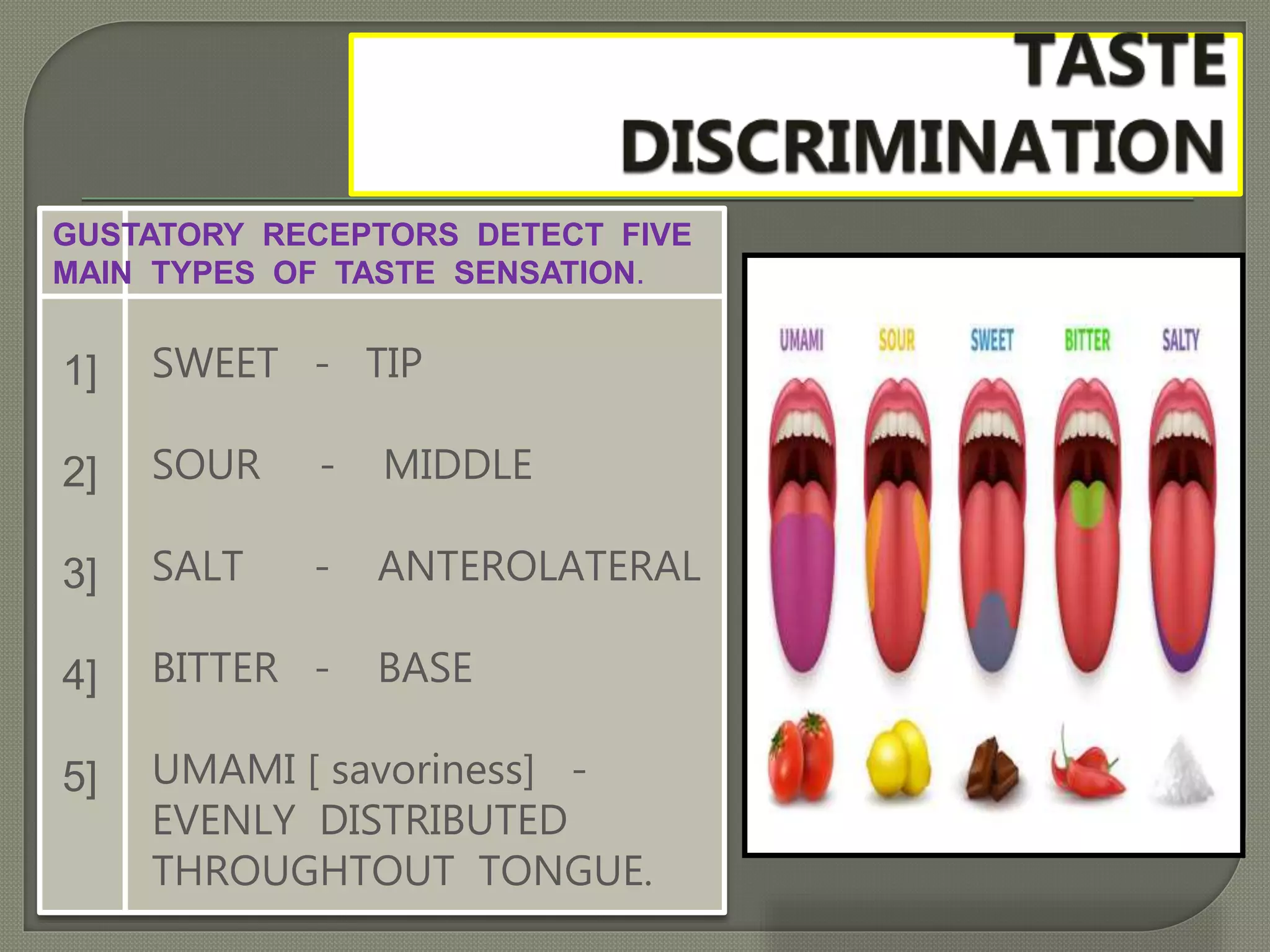 TONGUE.pptx