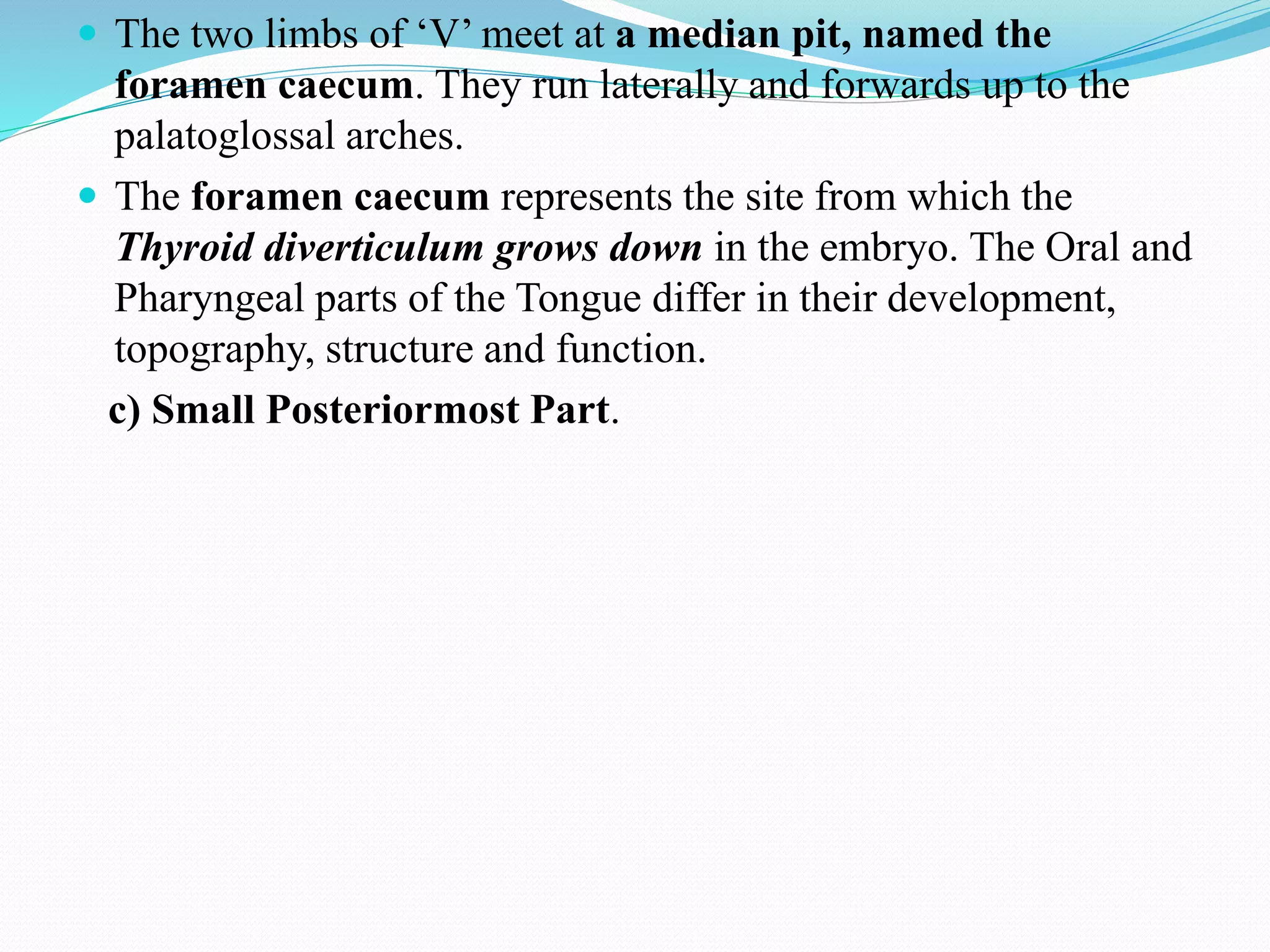Human tongue for mbbs first year.pptx