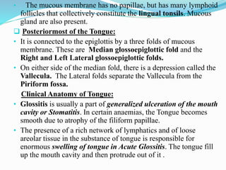 Human tongue for mbbs first year.pptx