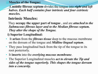 Human tongue for mbbs first year.pptx