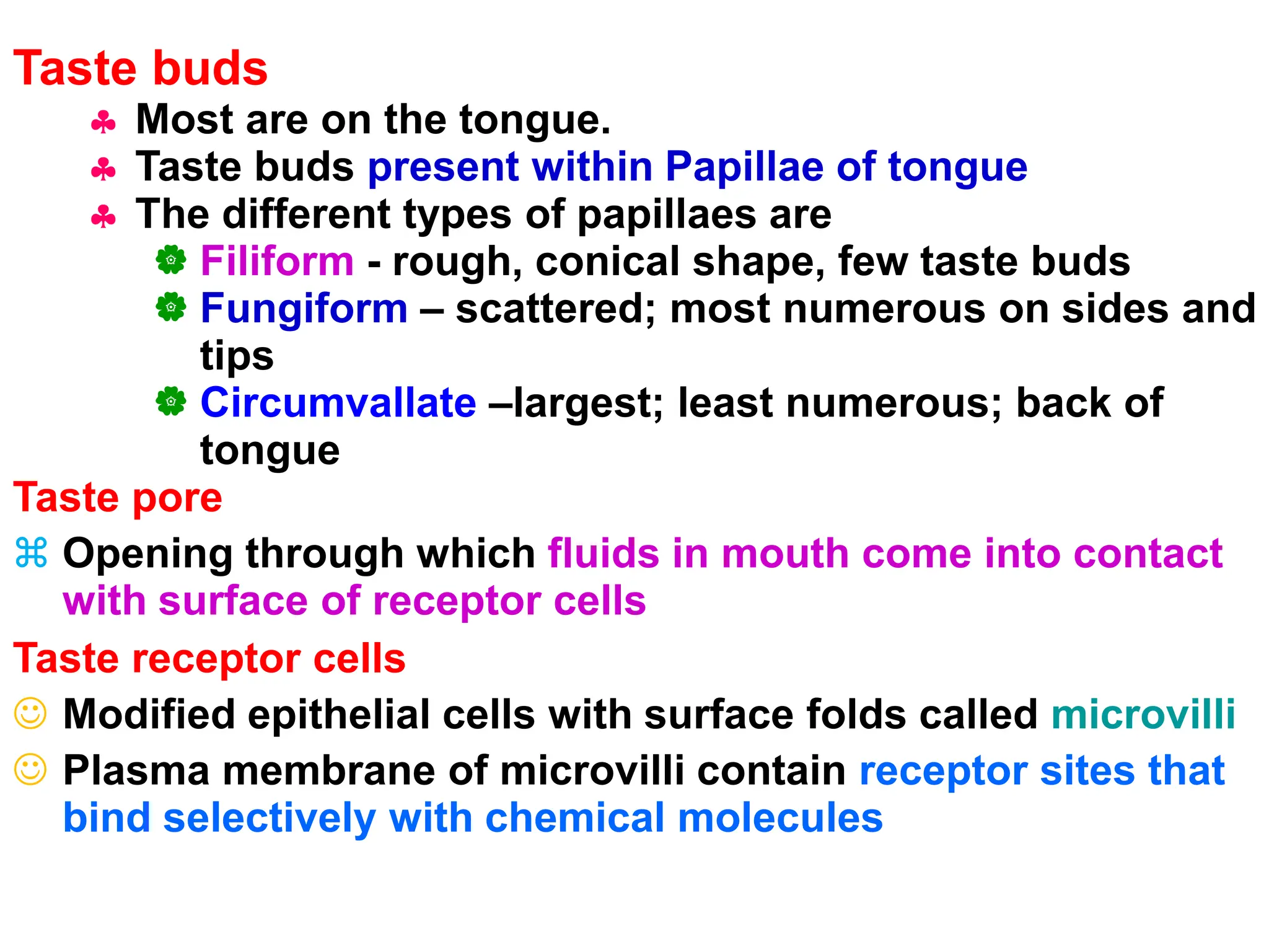 TONGUE - ANATOMY & PHYSIOLOGY OF GUSTATION - TASTE SENSATION For B ...