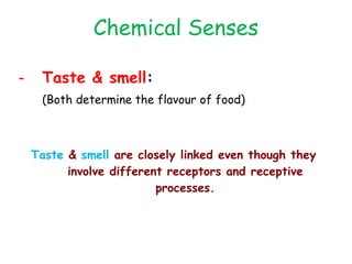 TONGUE - ANATOMY & PHYSIOLOGY OF GUSTATION - TASTE SENSATION For B ...