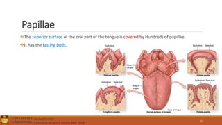 tongue.pdf