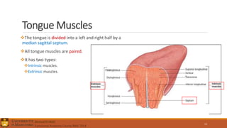 tongue.pdf | Ear, Nose and Throat Conditions | Diseases and Conditions