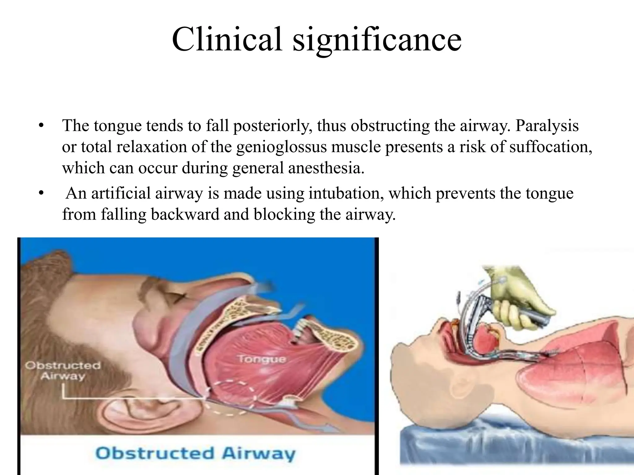 Brief Details of Tongues functions and nerve supply | PPTX