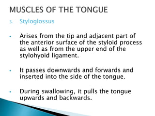 tongue ppt oral and maxillofacial pathology basic | PPTX