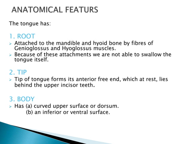 tongue ppt oral and maxillofacial pathology basic | PPT
