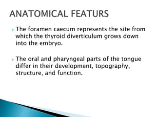 tongue ppt oral and maxillofacial pathology basic | PPT