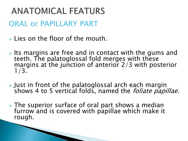 tongue ppt oral and maxillofacial pathology basic | PPT