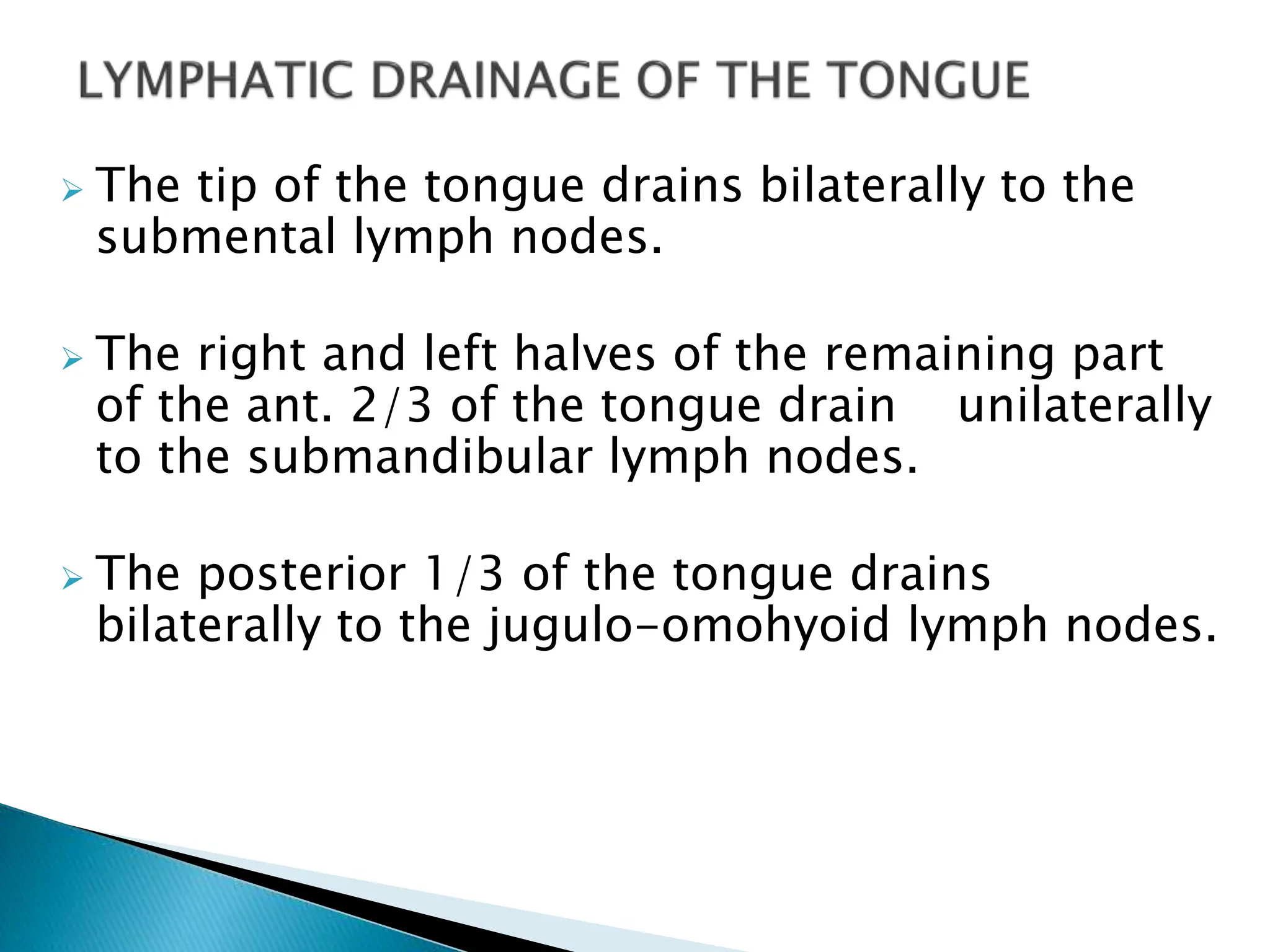 tongue.pptx oral and maxillofacial pathology basic | PPTX | Ear, Nose ...