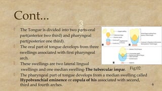 tongue and its components with applied.pptx