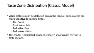 Tongue- Introduction, Functions, Uses ,Summary | PPTX