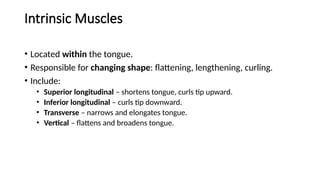 Tongue- Introduction, Functions, Uses ,Summary | PPTX