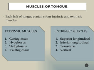 TONGUE ITS ANATOMY DEVELOPMENTAL ANOMALIES AND PROSTHODONTIC ...
