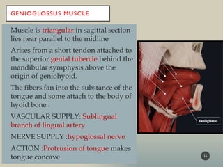 TONGUE ITS ANATOMY DEVELOPMENTAL ANOMALIES AND PROSTHODONTIC ...