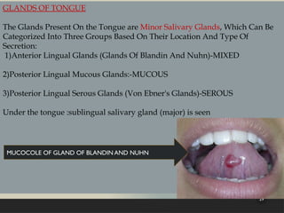 TONGUE ITS ANATOMY DEVELOPMENTAL ANOMALIES AND PROSTHODONTIC ...